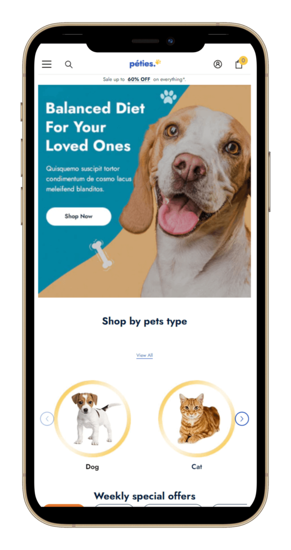 Design Mania - Web Development, UI/UX Design and SEO Services